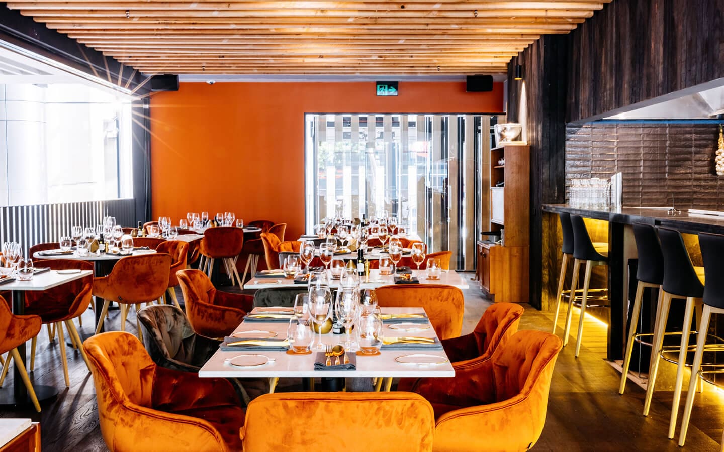 Toppi – SML Design